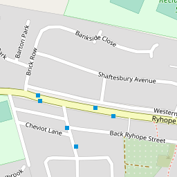 The Blue Bell in Ryhope, Sunderland : Pubs Galore